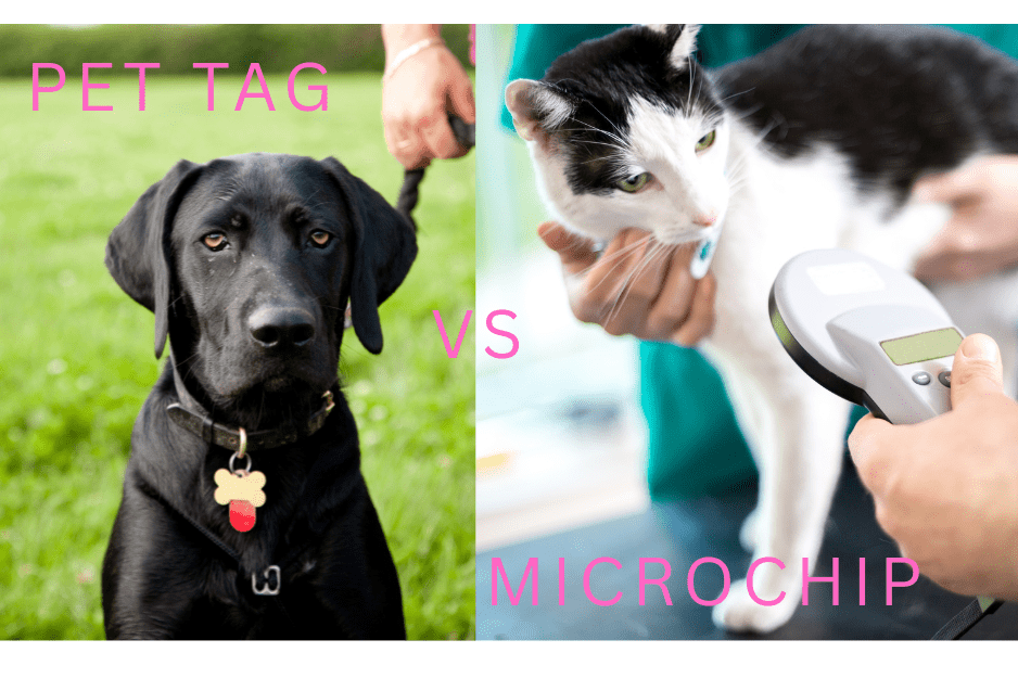 Microchipping vs. Pet ID Tags for pets safety in Australia