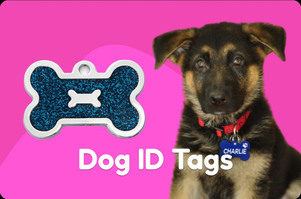 Pet ID Tags Australia | Engraved Dog & Cat Tags with Free Shipping