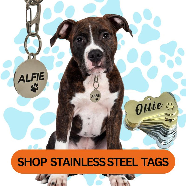 Pet ID Tags Australia | Engraved Dog & Cat Tags with Free Shipping