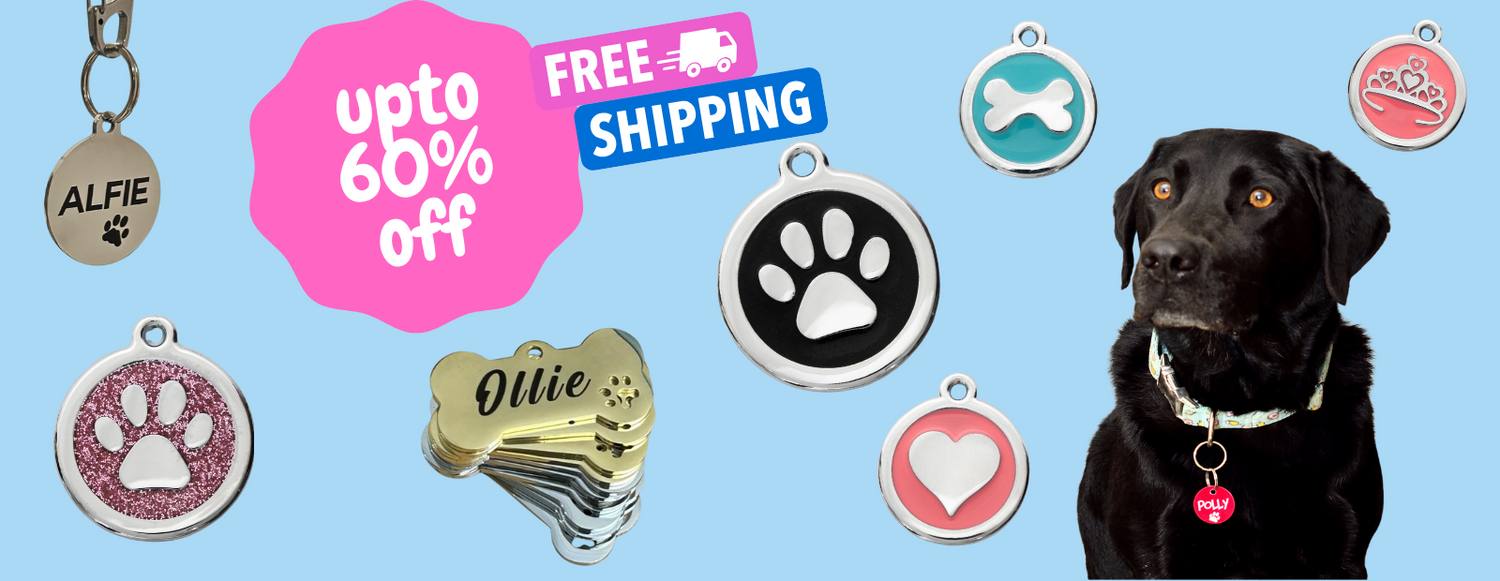 Dog Tags Australia – Engraved Pet ID Tags for Dogs & Cats | Pawzee